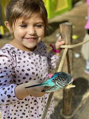 CALDWELL ZOO - Updated September 2024 - 422 Photos & 109 Reviews - 2203 ...