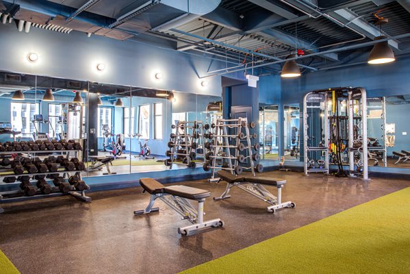 THE ALFRED - Updated June 2026 - 31 Photos - 30 E Adams St, Chicago ...