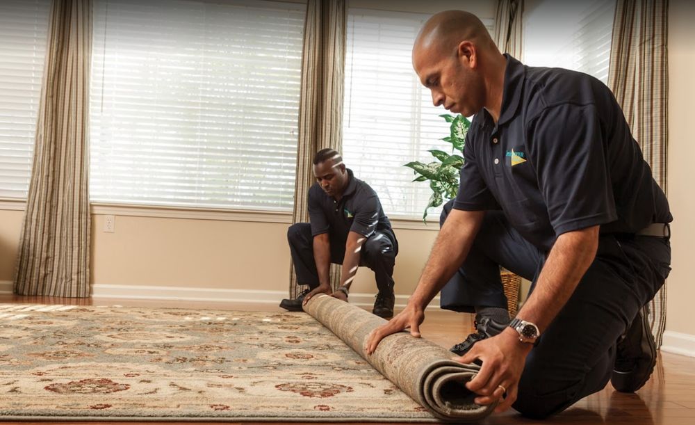 SERVICEMASTER OF LINCOLN PARK - Updated June 2025 - 26 Photos - 2333 N ...