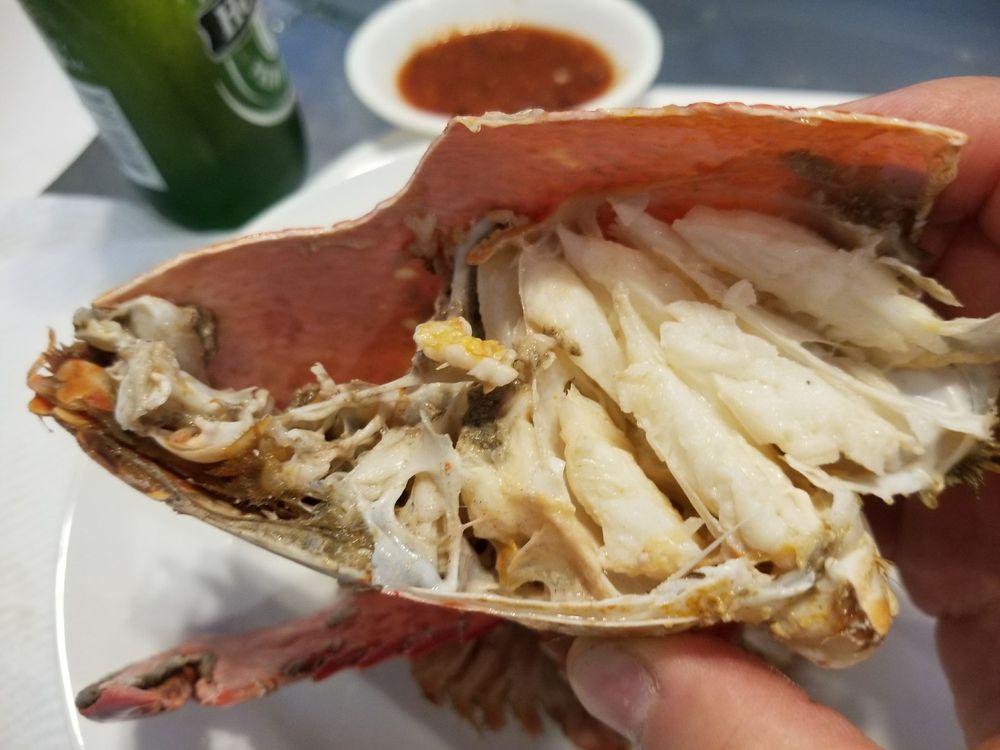 SPRINGVALE CENTRAL - Updated November 2024 - 32 Photos - 260 Springvale ...