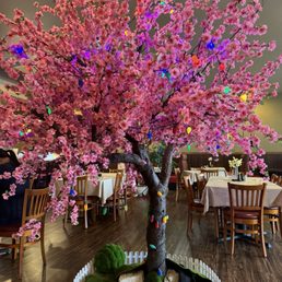 JIN 28 - Updated December 2025 - 288 Photos & 164 Reviews - 604 E N Ave ...