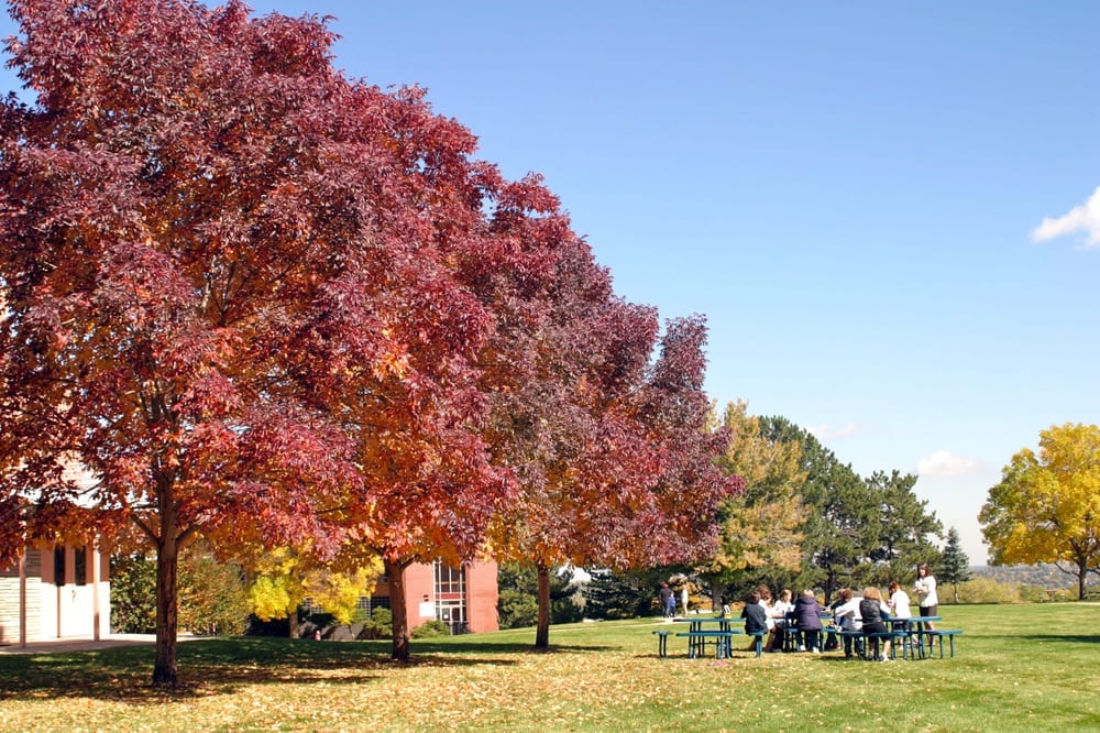 HAVERN SCHOOL - Updated December 2025 - 4000 S Wadsworth Blvd ...