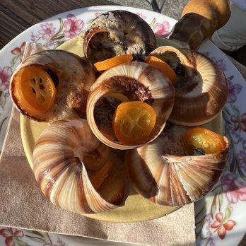 SNAIL BAR - Updated July 2024 - 667 Photos & 132 Reviews - 4935 ...