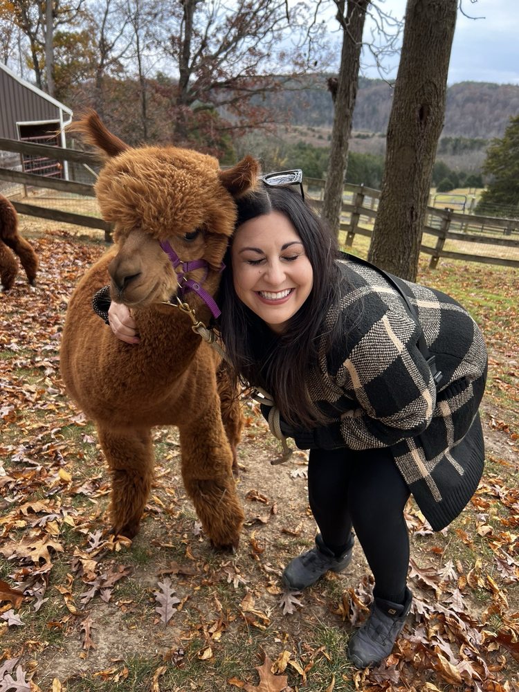 POINT OF VIEW ALPACA FARM - Updated March 2025 - 777 Lebanon Church Rd ...