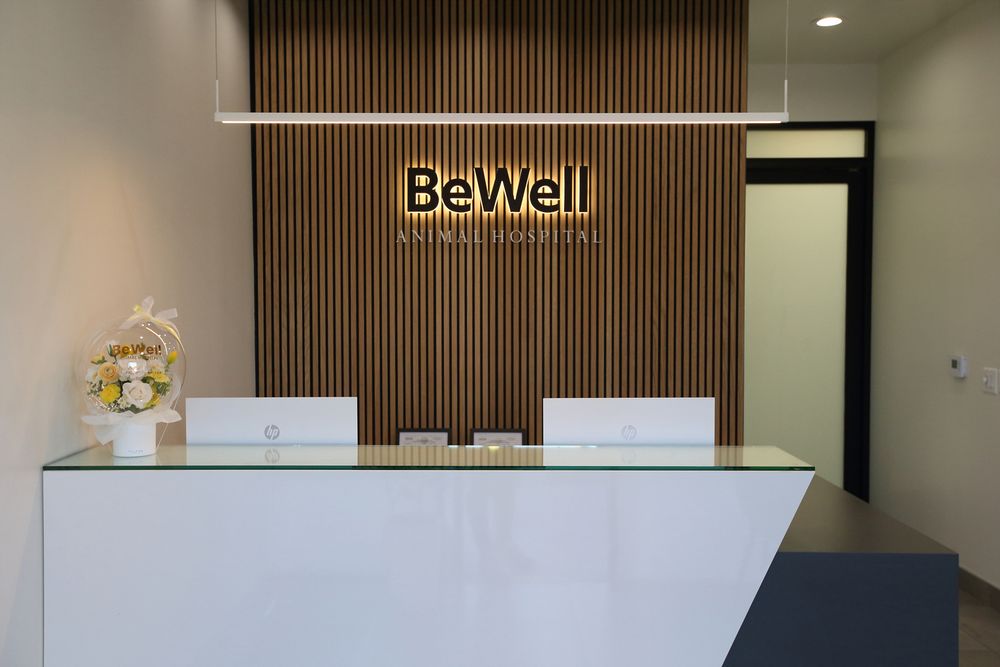 BEWELL ANIMAL HOSPITAL - Updated November 2025 - 50 Photos & 71 Reviews - 275 S Atlantic Blvd ...