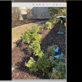 CONSERVA IRRIGATION - NORTH ATLANTA - Updated October 2025 - 28 Photos ...