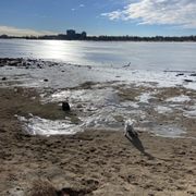 SLOAN’S LAKE PARK - 196 Photos & 105 Reviews - Parks - Sheridan Blvd ...