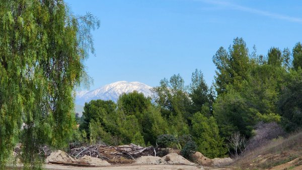 BREA DAM PARK - Updated December 2025 - 43 Photos - 1700 N Harbor Blvd ...