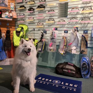 NORTH EASTERN POOL & SPA - Updated July 2025 - 20 Photos - 101 Ontario ...