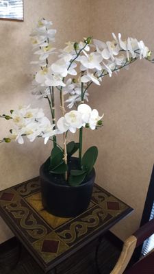 SACHDEVA KULVEEN, MD - Updated August 2025 - 33 Reviews - 5401 Norris ...