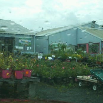 Hewitt S Garden Centers Updated February 2026 27 Photos 12