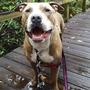 HALPATIOKEE REGIONAL PARK - Updated August 2025 - 85 Photos & 26 ...