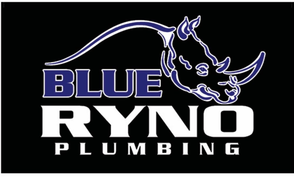BLUE RYNO PLUMBING - Updated April 2025 - Queen Creek, Arizona ...
