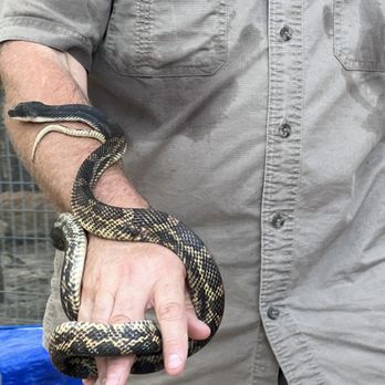 OAK MEADOW RANCH FEATURING THE WHITEHORSE STEAKHOUSE - Updated August ...