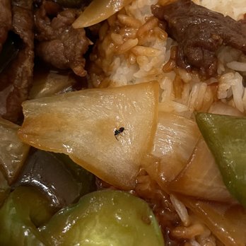 DOUBLE DELIGHT CHINESE RESTAURANT - Updated October 2025 - 42 Photos ...