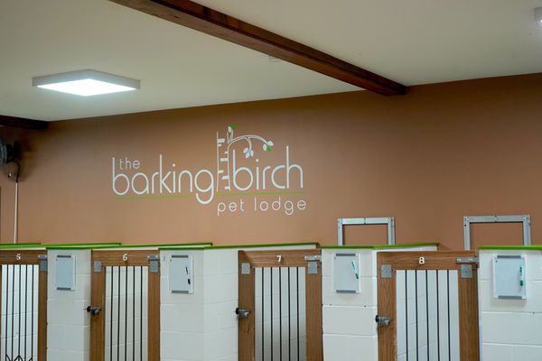 THE BARKING BIRCH PET LODGE - Updated December 2025 - 22 Photos - 23445 ...
