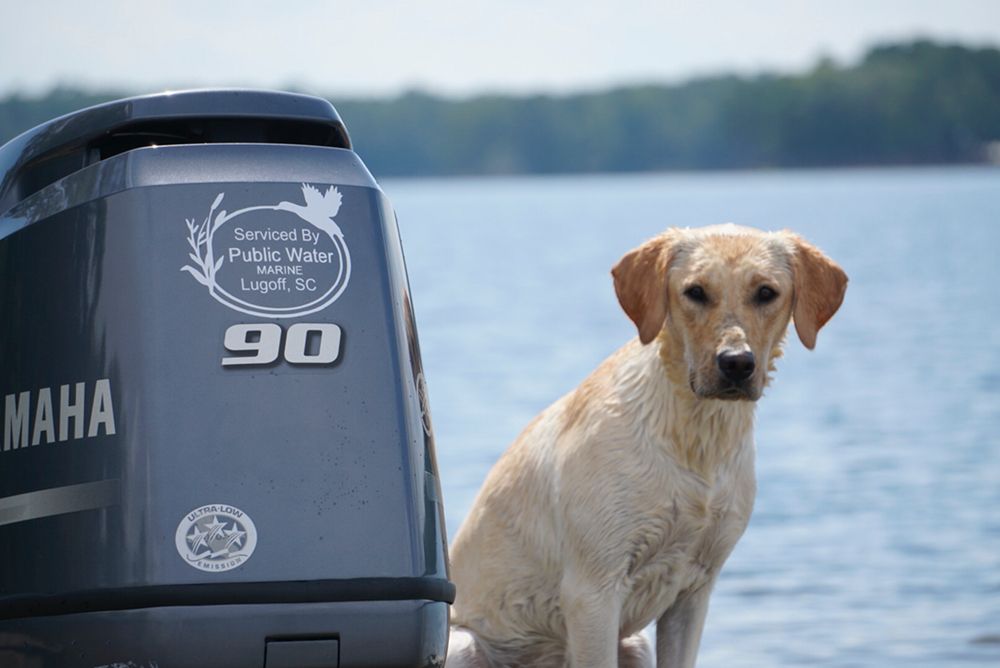 PUBLIC WATER MARINE - Updated October 2025 - 12 Photos - 1248 Aldrich ...