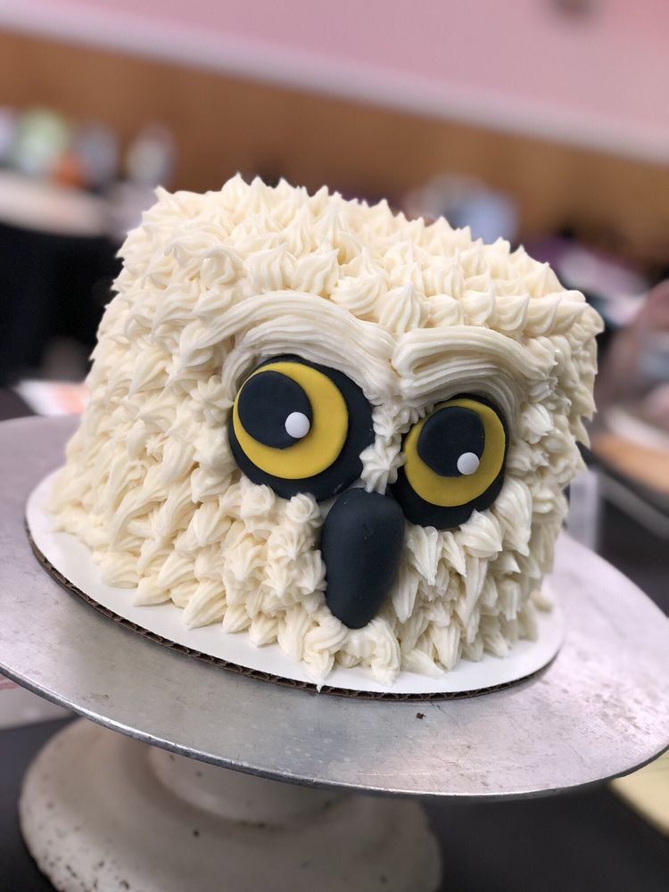 THE MACARON CHEF - 190 Photos & 32 Reviews - 743 Harbor Blvd, Destin ...