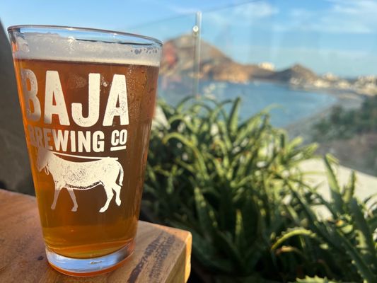BAJA BREWING COMPANY - Updated December 2025 - 371 Photos & 246 Reviews ...