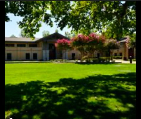 DANVILLE LIBRARY - Updated August 2025 - 57 Photos & 49 Reviews - 400 ...