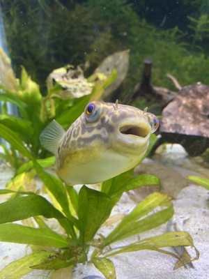 CUBOID NATURE AQUARIUM - Updated March 2025 - 27 Photos & 15 Reviews ...