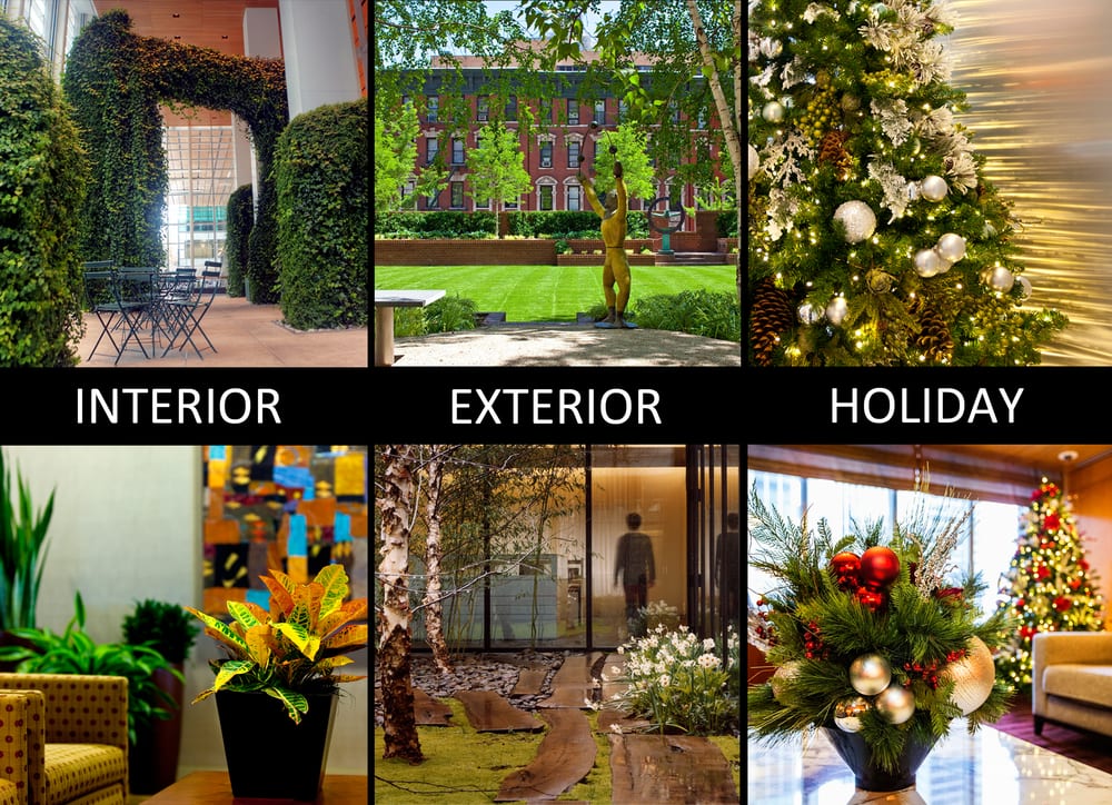 JOHN MINI DISTINCTIVE LANDSCAPES - Updated November 2025 - 55 Broad St ...