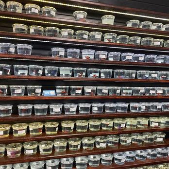 THAT FISH PLACE - THAT PET PLACE - Updated January 2026 - 149 Photos ...