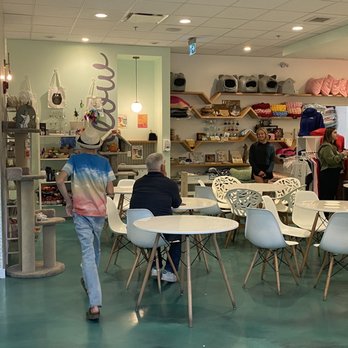 REGAL CAT CAFE - Updated January 2026 - 148 Photos & 44 Reviews - 303 ...