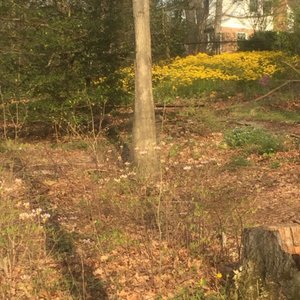 BUDDY ATTICK PARK - 45 Photos & 10 Reviews - 555 Crescent Rd, Greenbelt ...