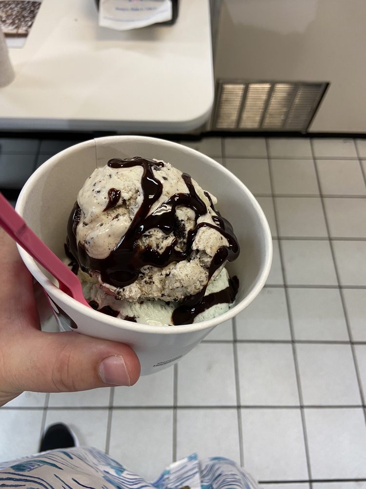 BASKIN-ROBBINS 31 FLAVORS - Updated September 2025 - 17 Reviews - 15 S ...