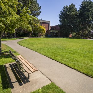 NORTHGATE COMMUNITY CENTER - Updated December 2025 - 11 Photos & 12 ...