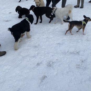 QUARRY RUN DOG PARK - Updated December 2025 - 25 Photos & 20 Reviews ...