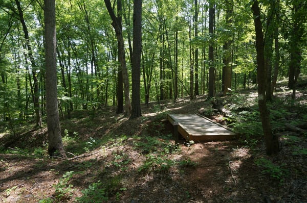 PIEDMONT NATIONAL WILDLIFE REFUGE - 41 Photos - 718 Juliette Rd, Round ...