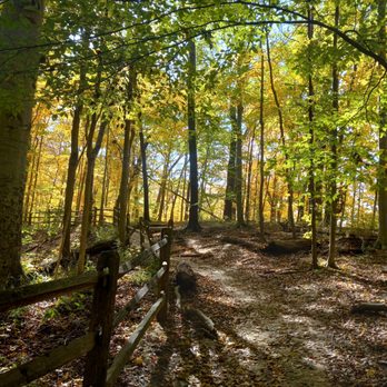 MAROTT PARK - Updated January 2026 - 102 Photos & 25 Reviews - 7350 N ...