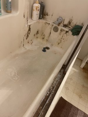 AYA CLEANING SOLUTIONS - Updated September 2025 - 39 Photos & 143 ...