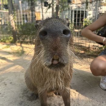 HOUSTON INTERACTIVE AQUARIUM AND ANIMAL ADVENTURE - 183 Photos & 109 ...