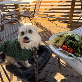 THE TOASTY BADGER - Updated May 2025 - 373 Photos & 161 Reviews - 2206 ...