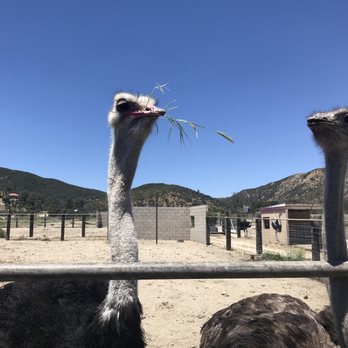 QUAIL RUN RANCH - Updated May 2025 - 127 Photos & 48 Reviews - 44380 ...