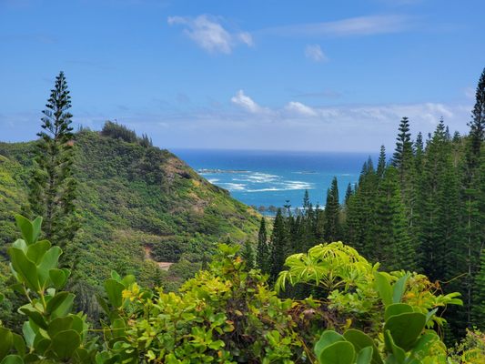 HAU’ULA LOOP TRAIL - Updated July 2024 - 137 Photos & 23 Reviews - 54 ...