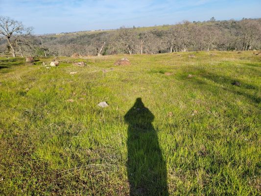 BOULDER RIDGE PARK - Updated December 2025 - 17 Photos - 3555 Park Dr ...