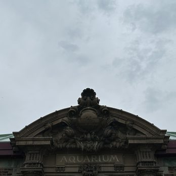 BELLE ISLE AQUARIUM - Updated May 2024 - 397 Photos & 86 Reviews - 3 ...