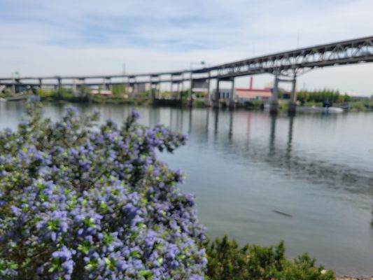 MARQUAM BRIDGE - Updated April 2025 - 75 Photos & 17 Reviews ...