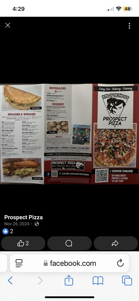 PROSPECT PIZZA - Updated August 2025 - 13 Photos & 16 Reviews - 507 ...