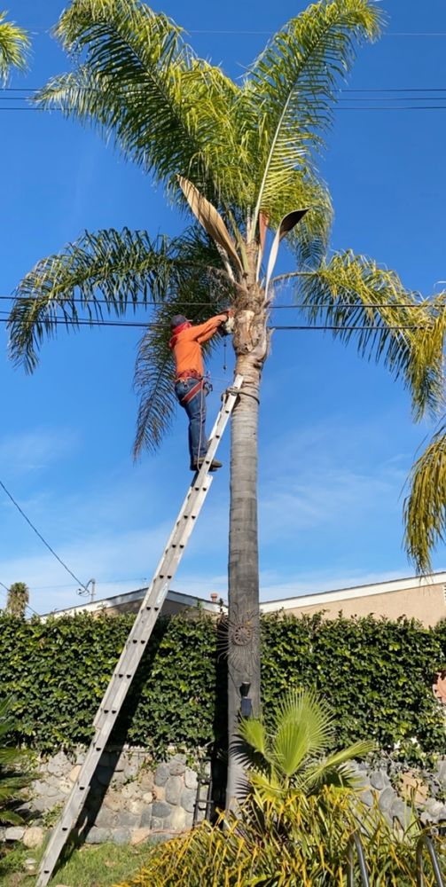 AV CONSTRUCTION - Updated November 2025 - 28 Photos - Anaheim ...