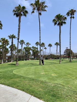 PELLY’S MINI GOLF - 197 Photos & 200 Reviews - 15555 Jimmy Durante Blvd ...