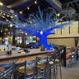 ANGRY CACTUS - Updated August 2025 - 361 Photos & 352 Reviews - 1 W ...