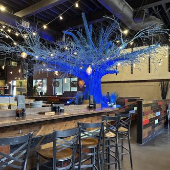 ANGRY CACTUS - Updated July 2024 - 299 Photos & 308 Reviews - 1 W ...