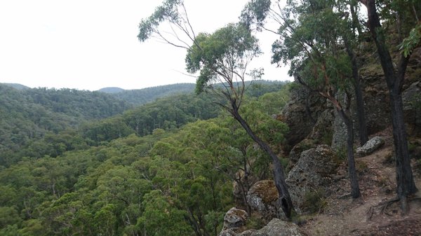 PETERSON’S LOOKOUT - Updated June 2025 - Walhalla Rd, Tyers Victoria ...