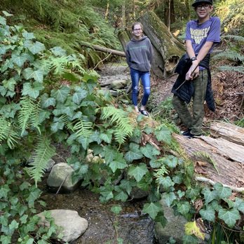 STEPHENSON CANYON - Updated August 2025 - 2800 Birch St, Bremerton ...