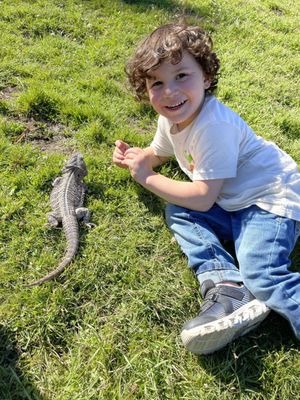TREE FROG TREKS - Updated May 2026 - 81 Photos & 38 Reviews - 3835 ...